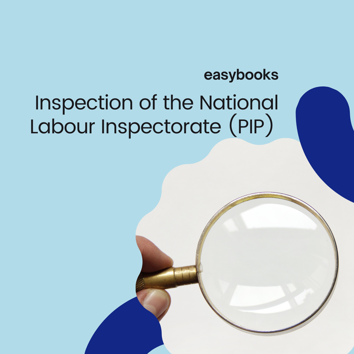 Inspection of the National Labour Inspectorate (PIP) - easybooks ...